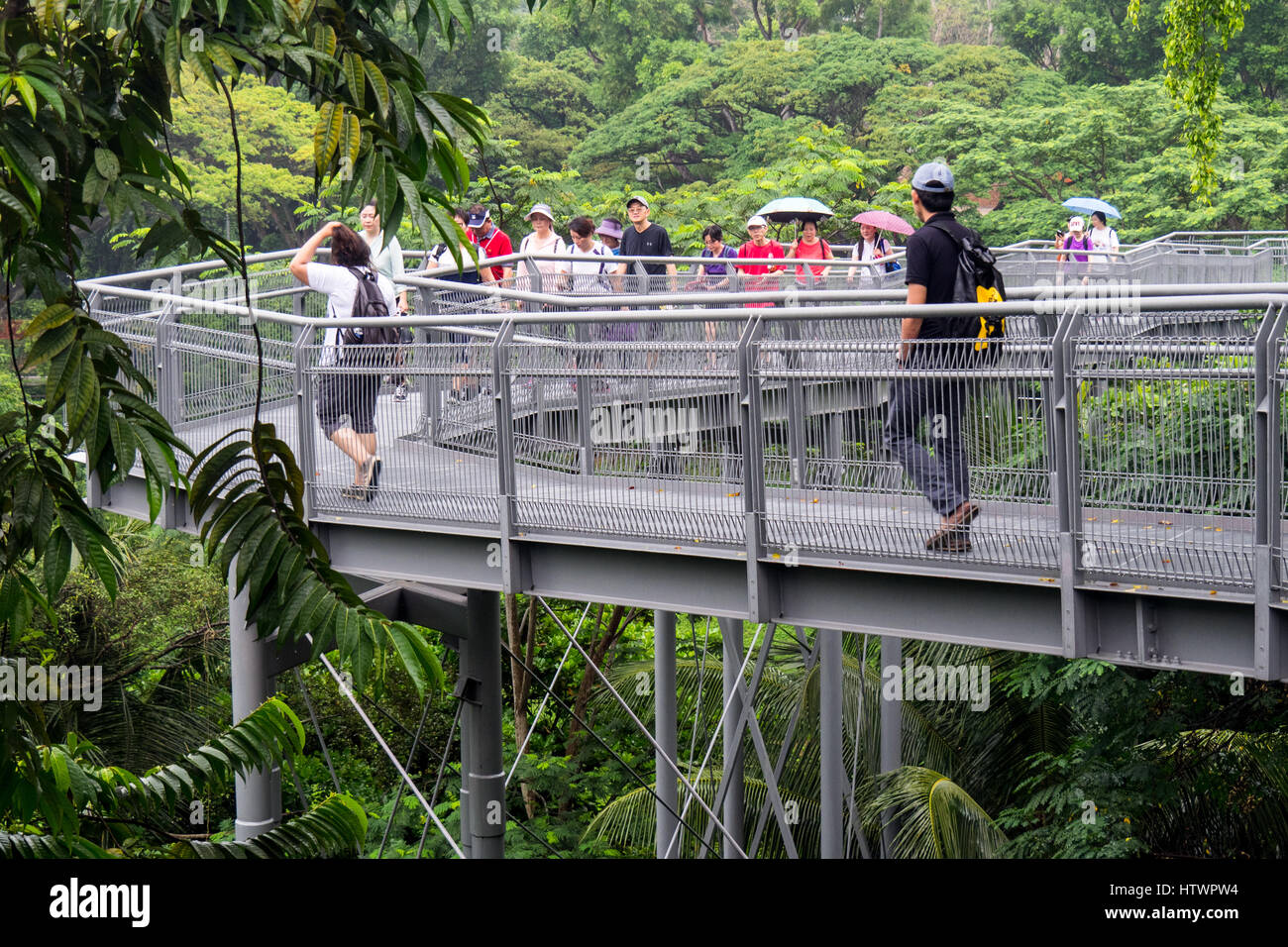 Southern ridges, singapore hi-res stock photography and images - Alamy