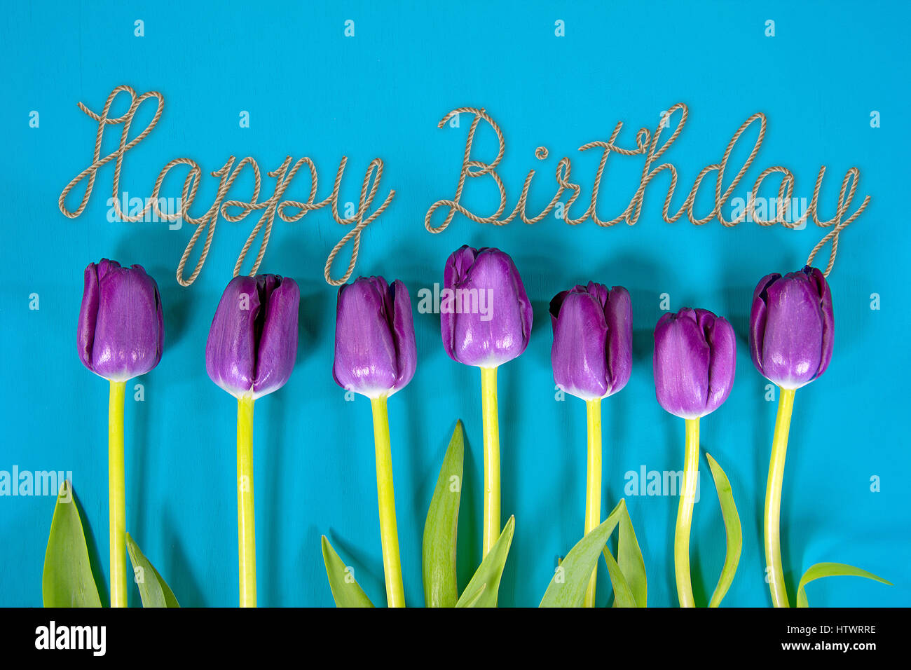happy birthday message in rope design with purple tulips on turquoise ...