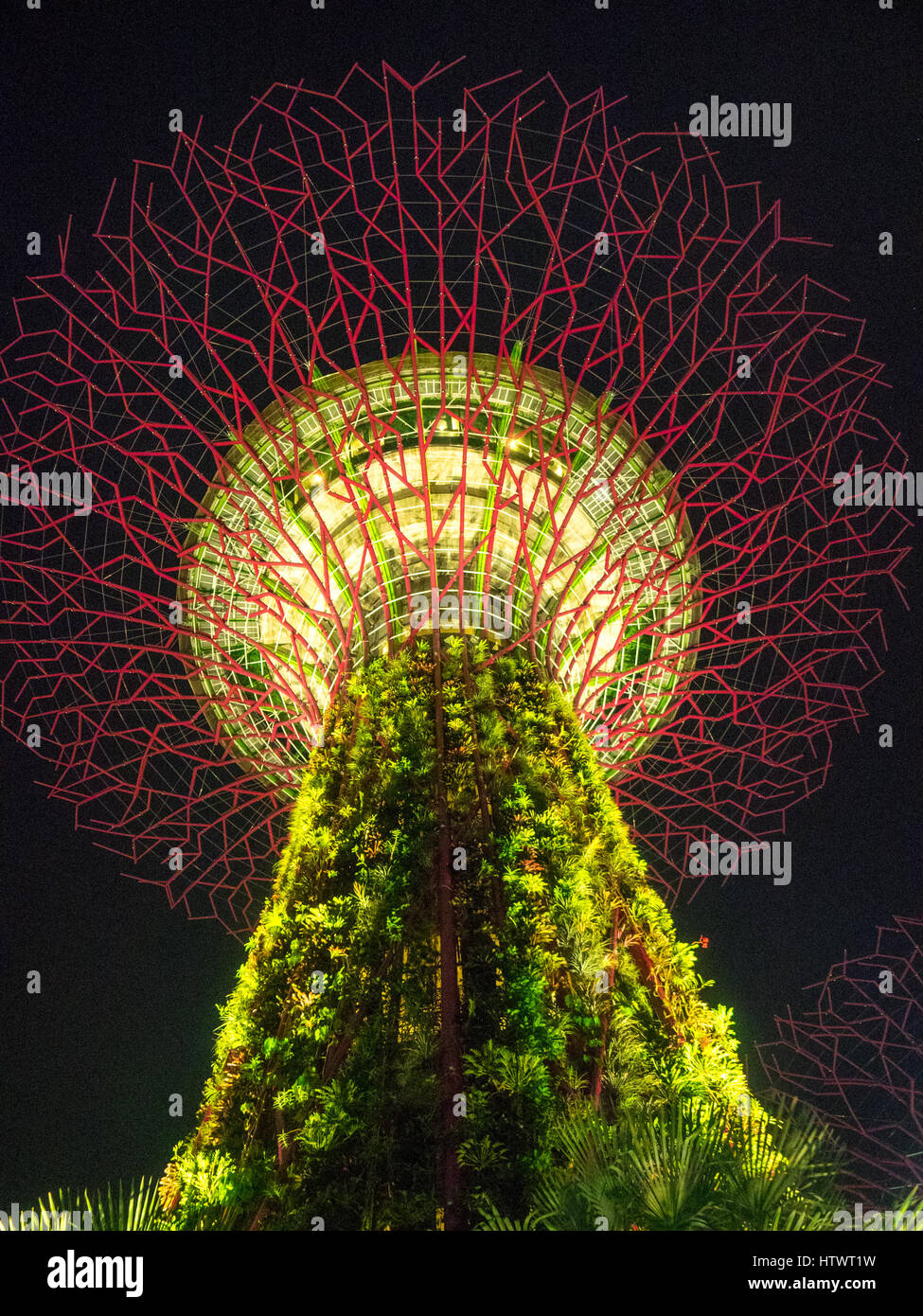 A tree-like structure called a supertree which is a vertical garden lit ...