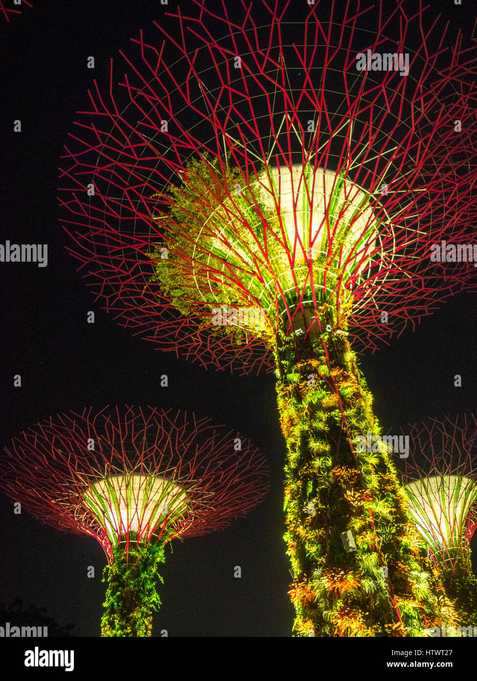 Tree-like structures called supertrees which are vertical gardens, lit ...