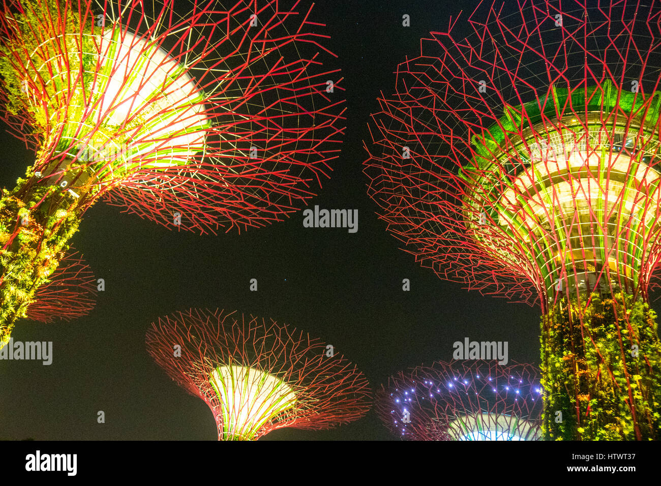 Tree-like structures called supertrees which are vertical gardens, lit ...