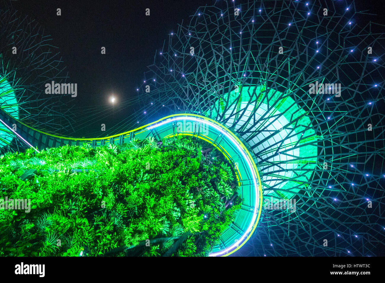 Tree-like structures called supertrees which are vertical gardens, lit ...