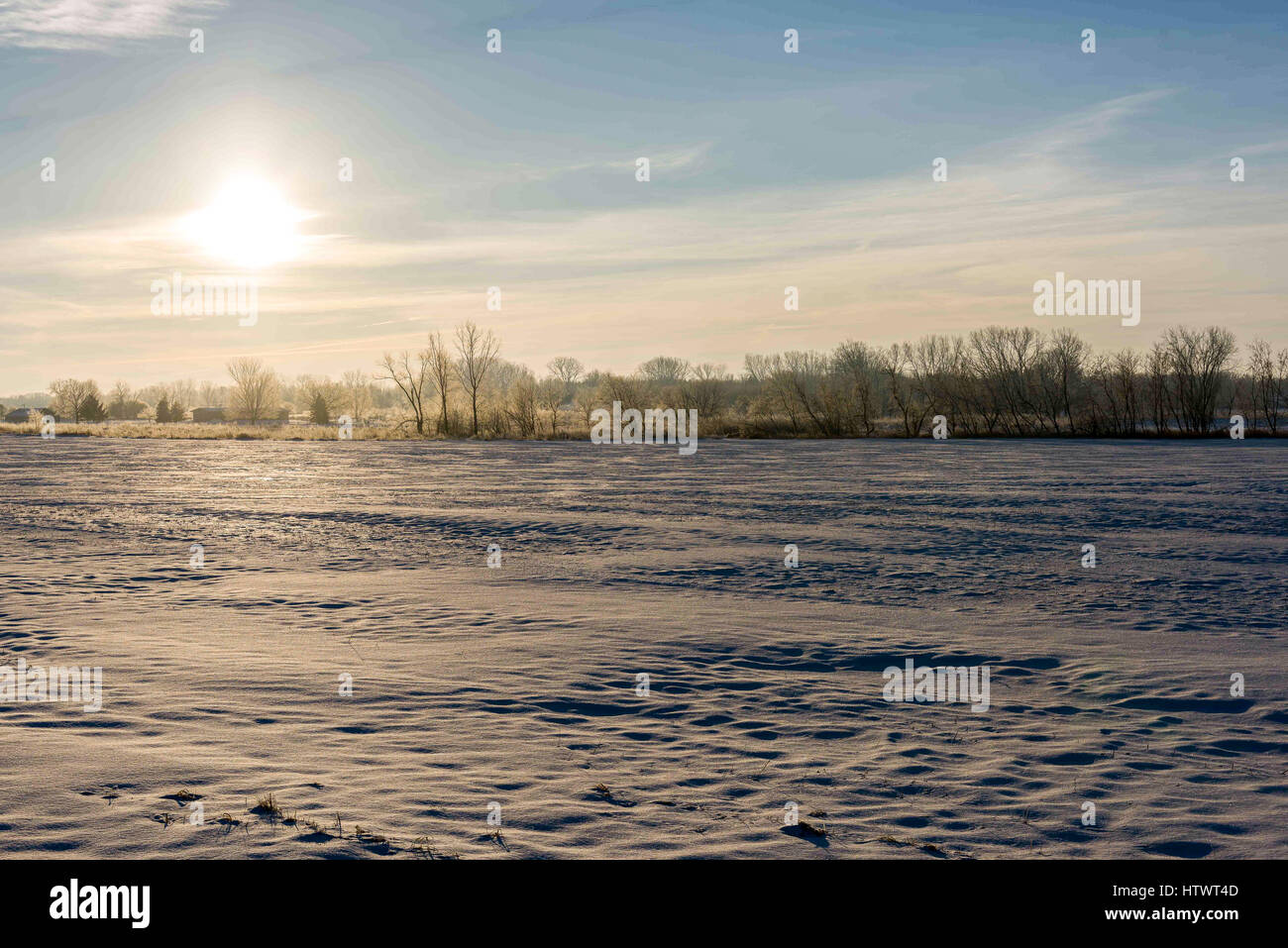 Frost covering on trees hi-res stock photography and images - Alamy