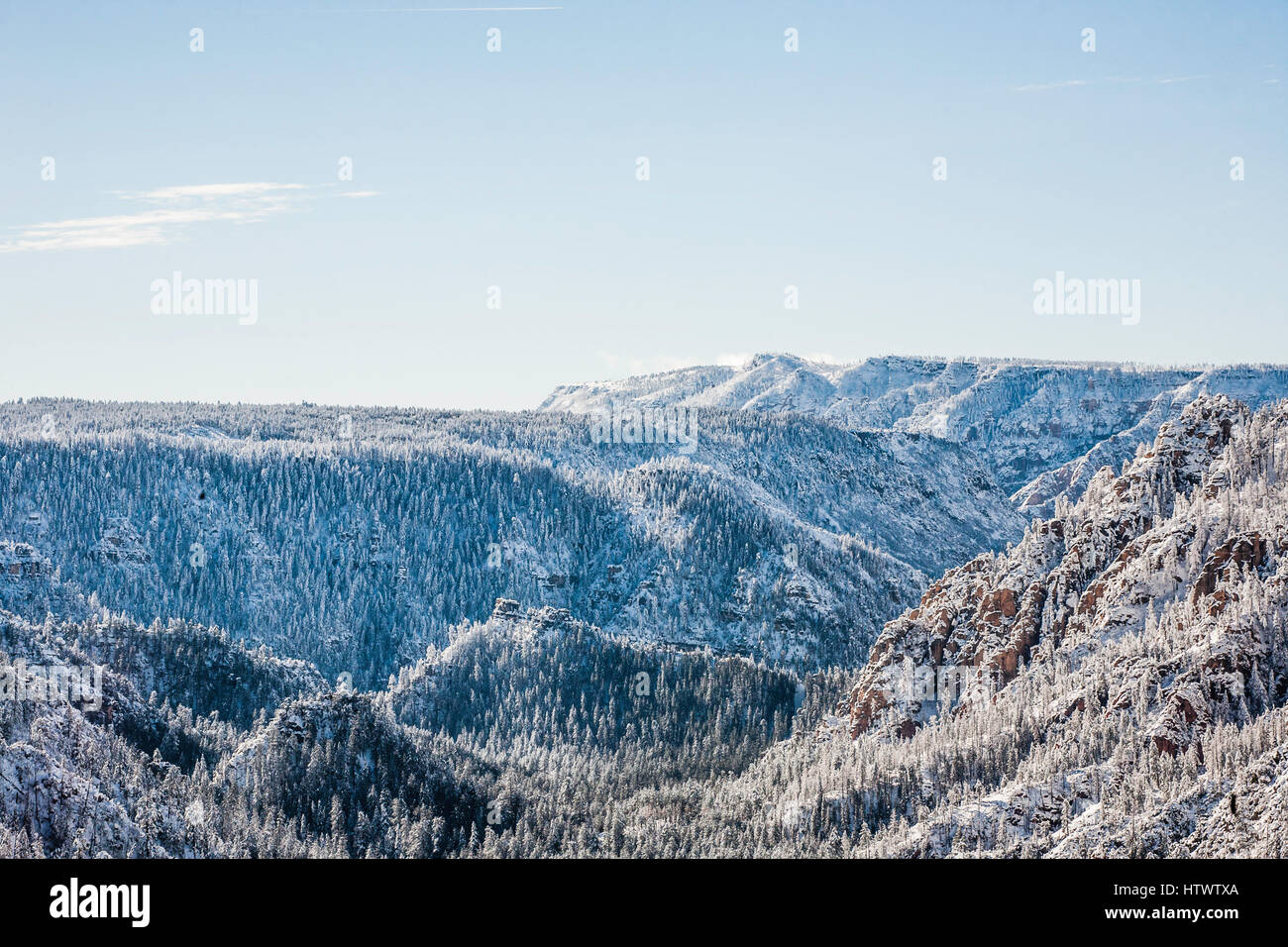 Coconino national forest hi-res stock photography and images - Alamy
