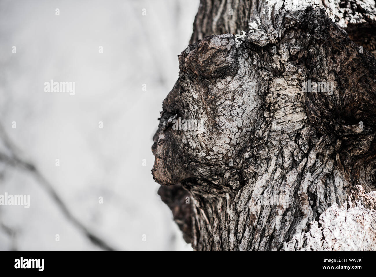 Face of Nature Stock Photo - Alamy