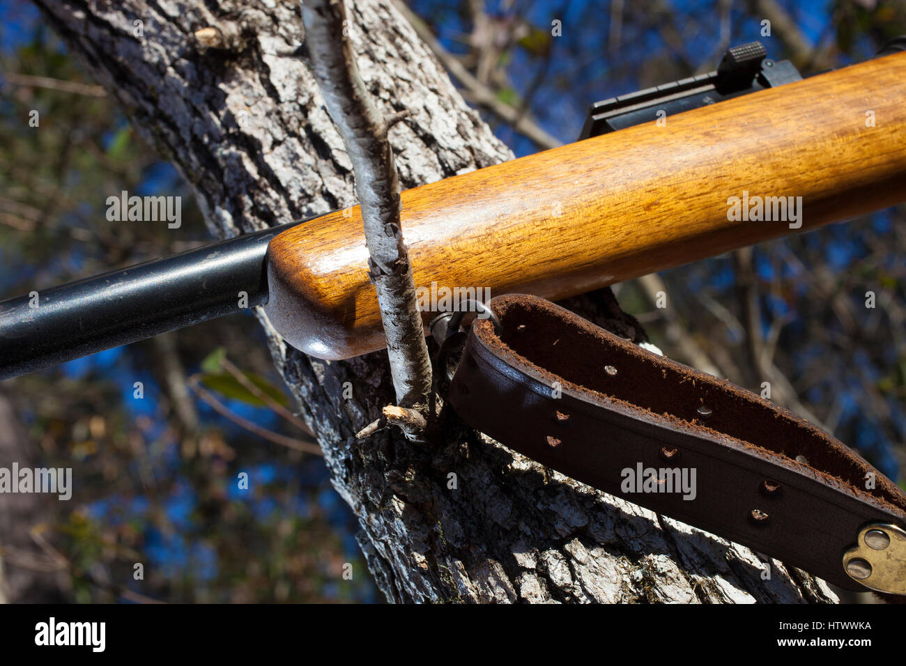 Old hunting rifle using a branch for a steady long shot Stock Photo - Alamy