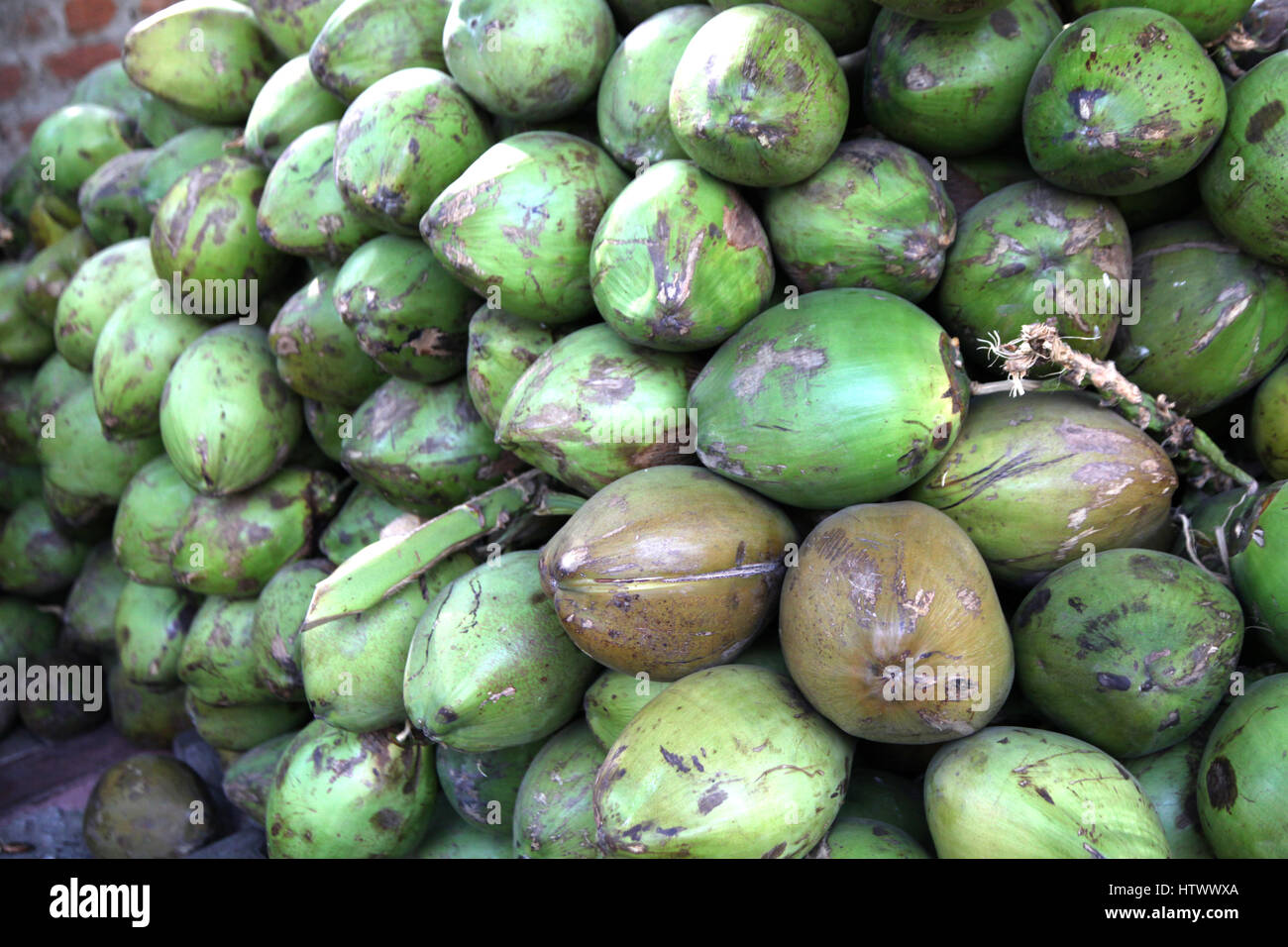 Coconut bunch hi-res stock photography and images - Alamy