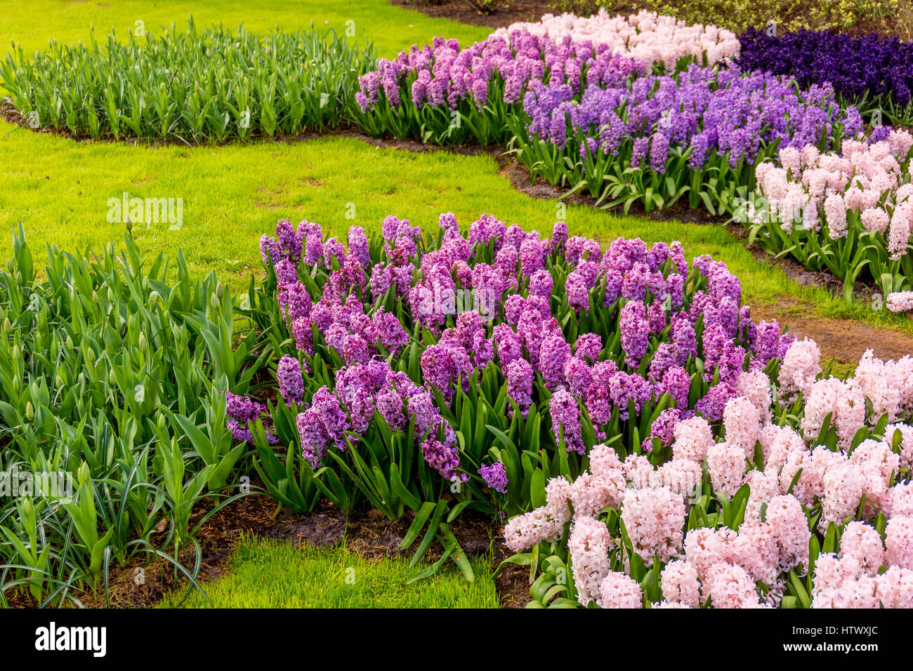 spring landscape. Spring nature background. beautiful garden Stock ...