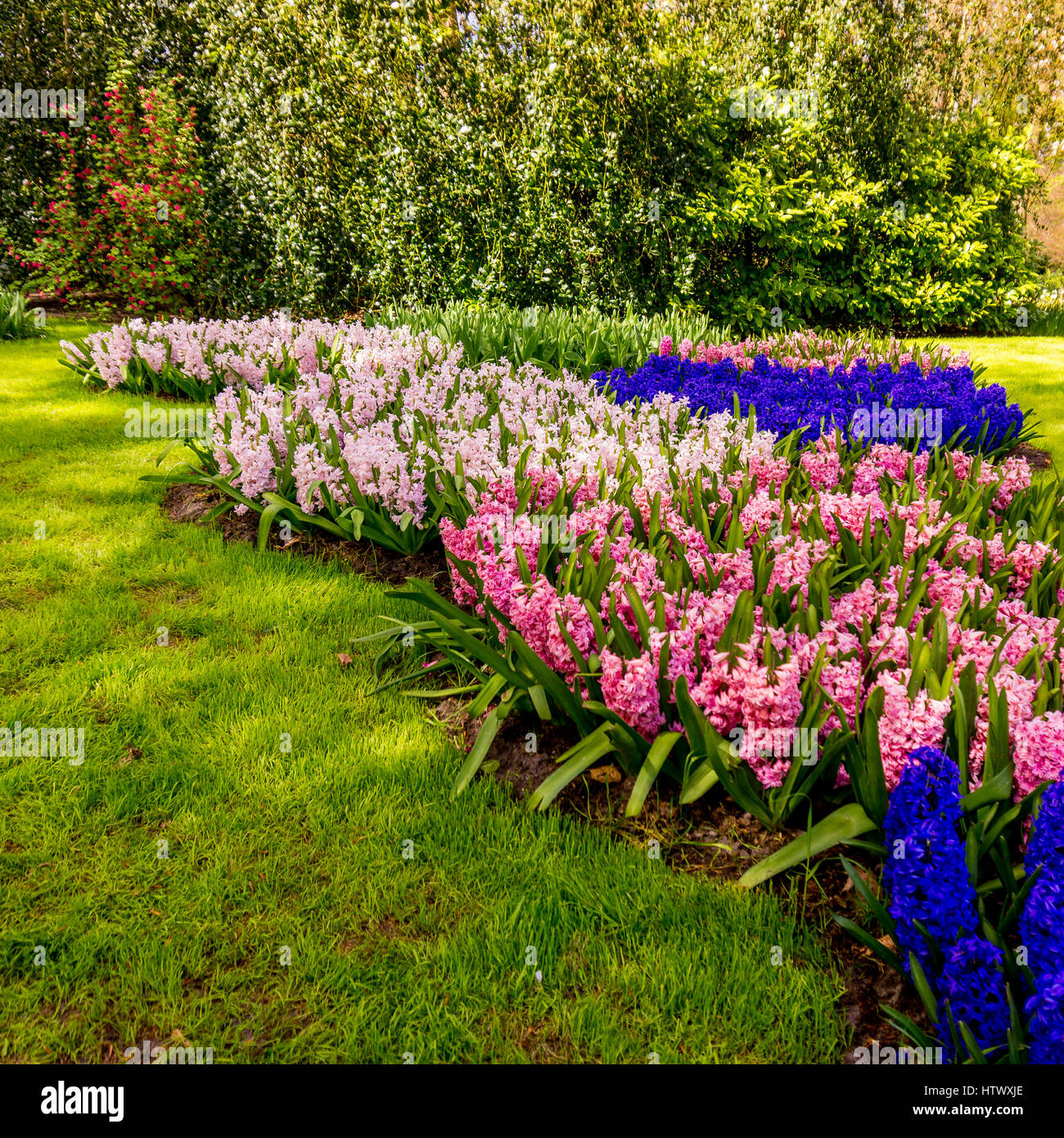 spring landscape. Spring nature background. beautiful garden Stock ...