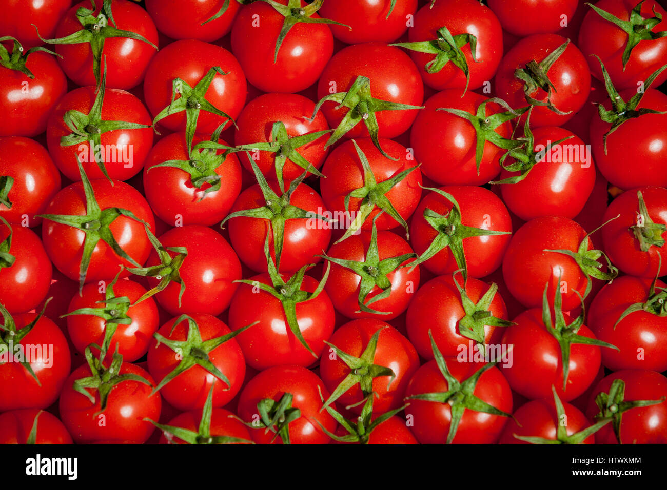 red tomatoes background. Group of tomatoes. tomato Stock Photo - Alamy