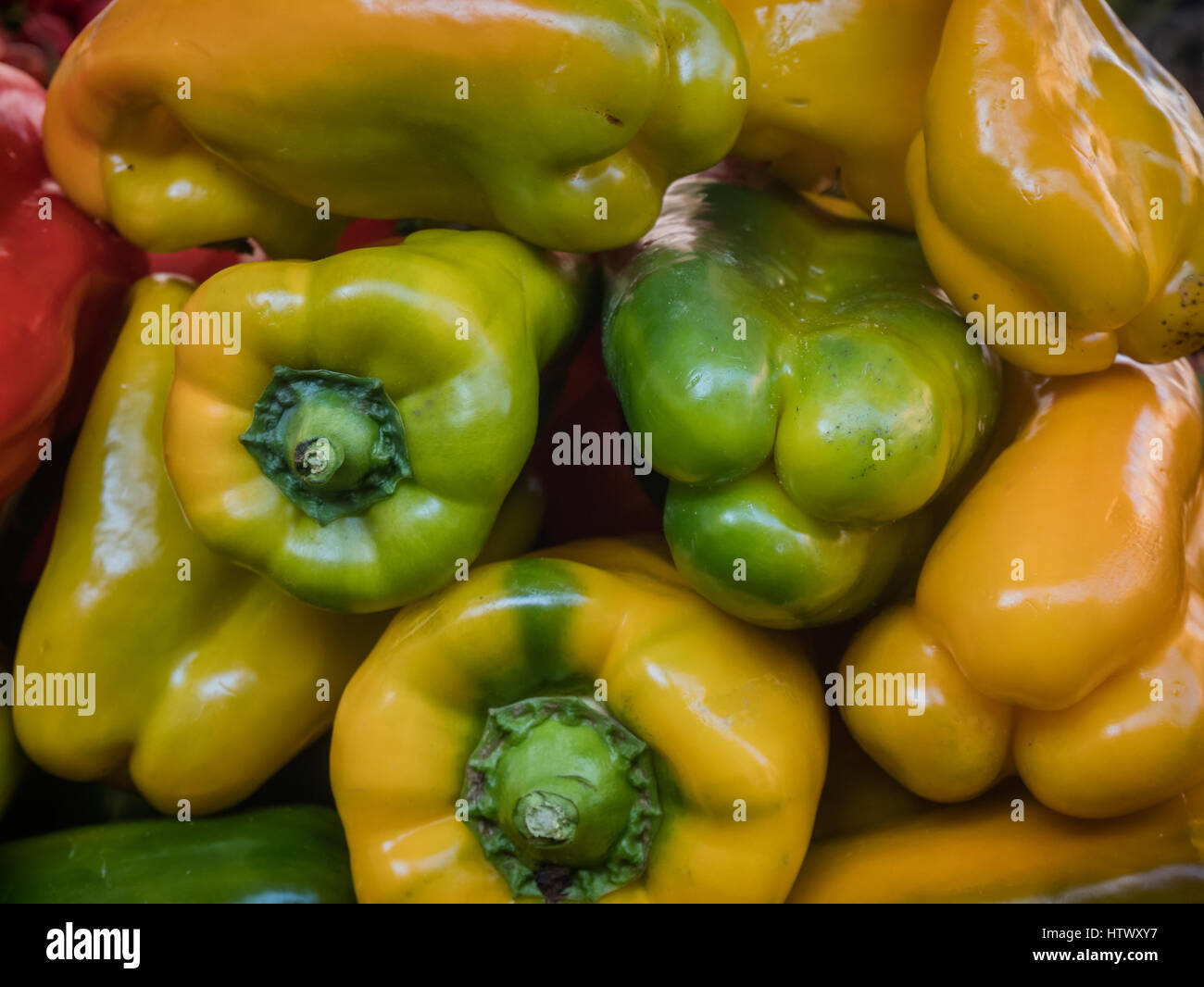 Fresh peppers capsicum on the market hi-res stock photography and ...
