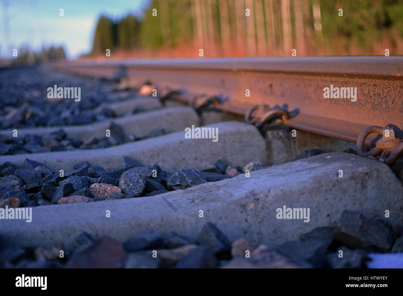 Foreground focus hi-res stock photography and images - Alamy
