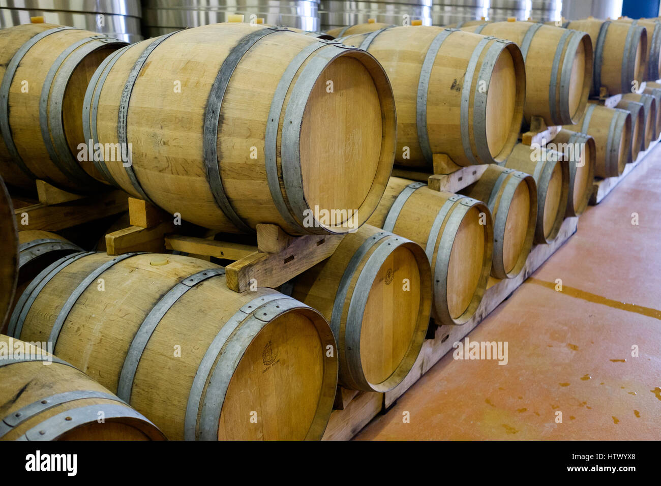 champagne maturing in barrels in wine cellar Reims France Stock Photo ...