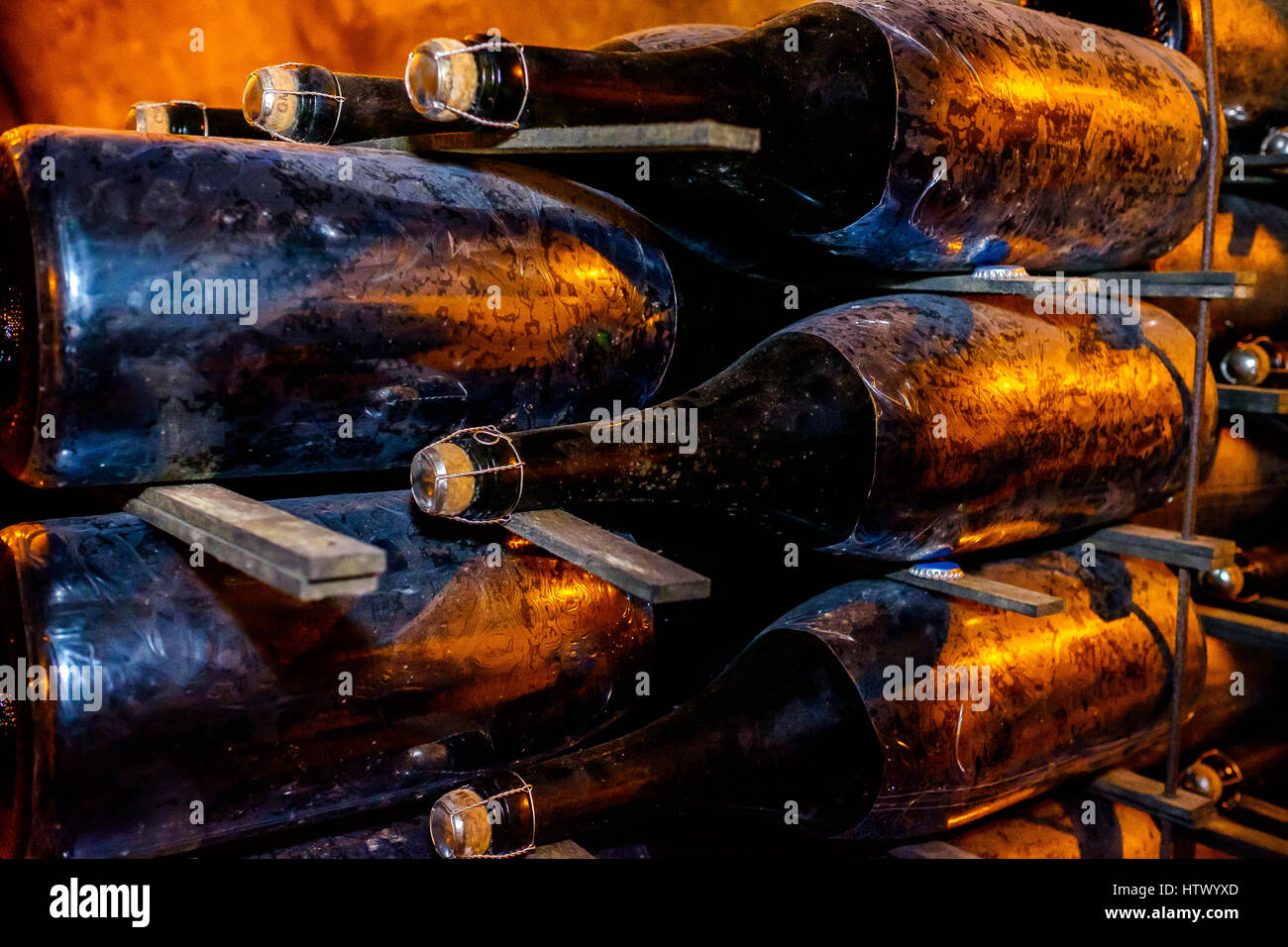 Dusty champagne bottles maturing in wine cellar at taittinger reims hi ...