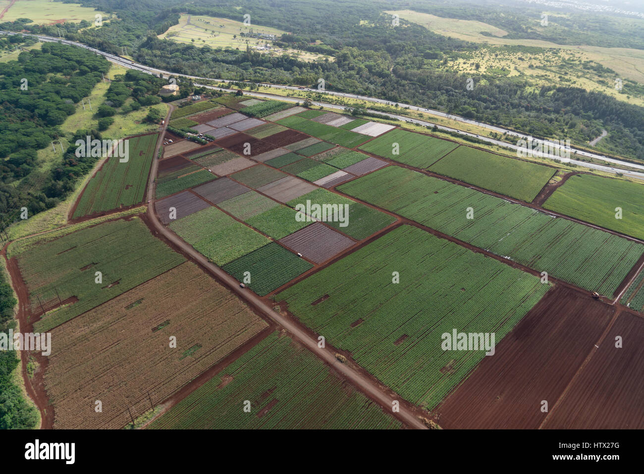 Agriculture in Hawaii Stock Photo - Alamy