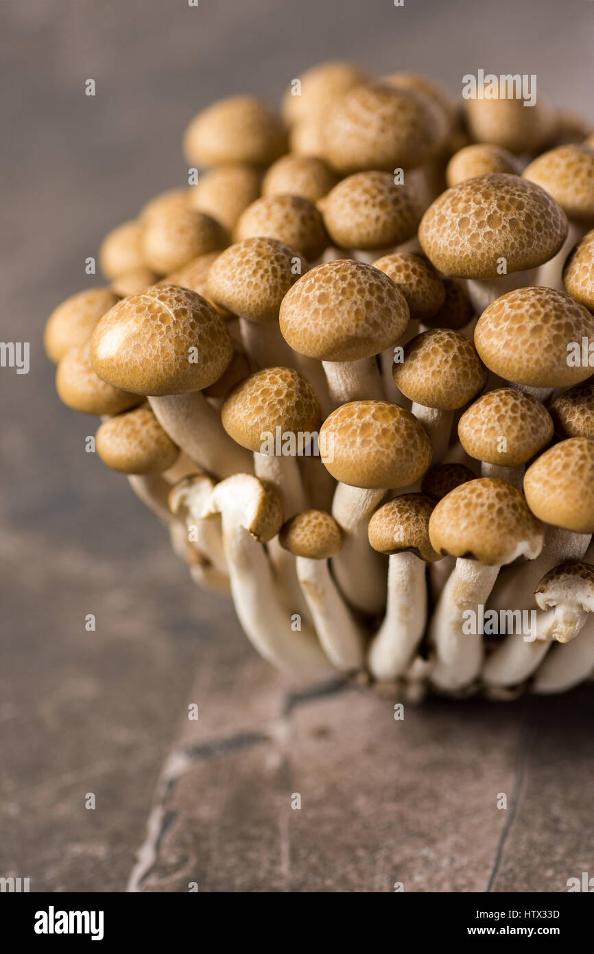 Brown Shimeji Mushrooms as Fungi Food Background Stock Photo - Alamy