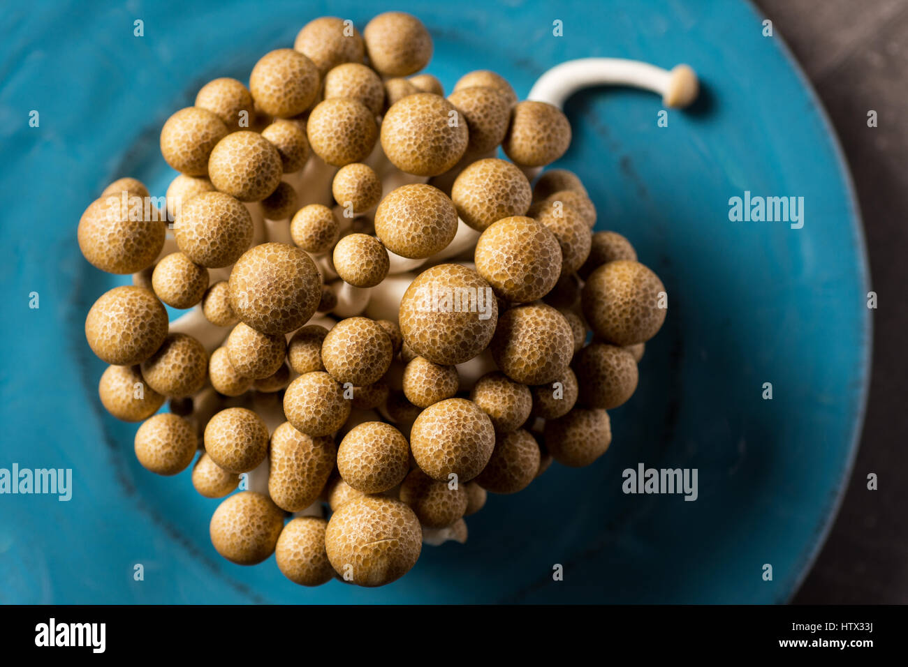 Brown Shimeji Mushrooms as Fungi Food Background Stock Photo - Alamy