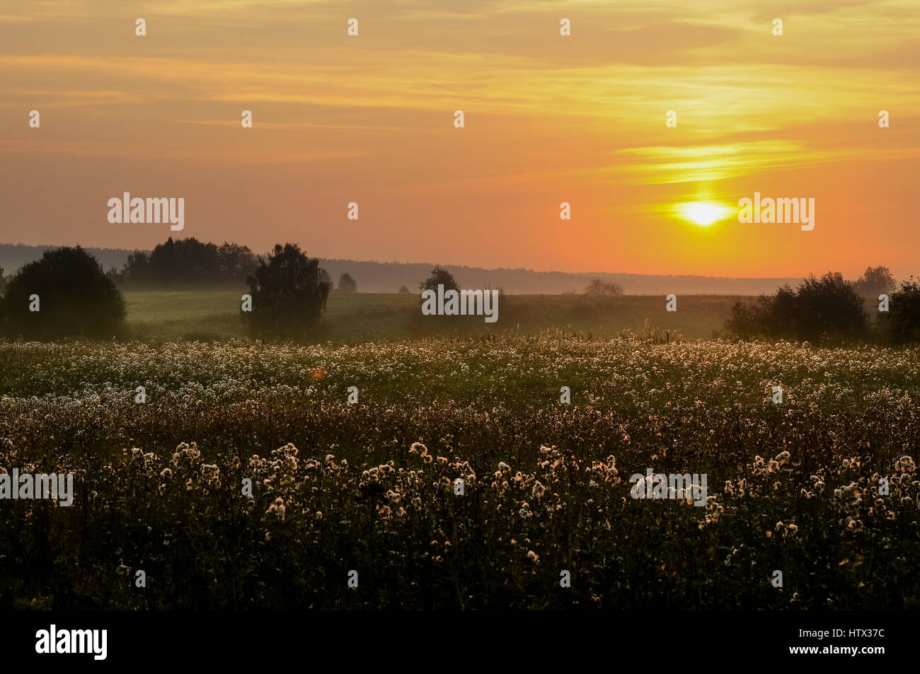 Dawn air perspective hi-res stock photography and images - Alamy