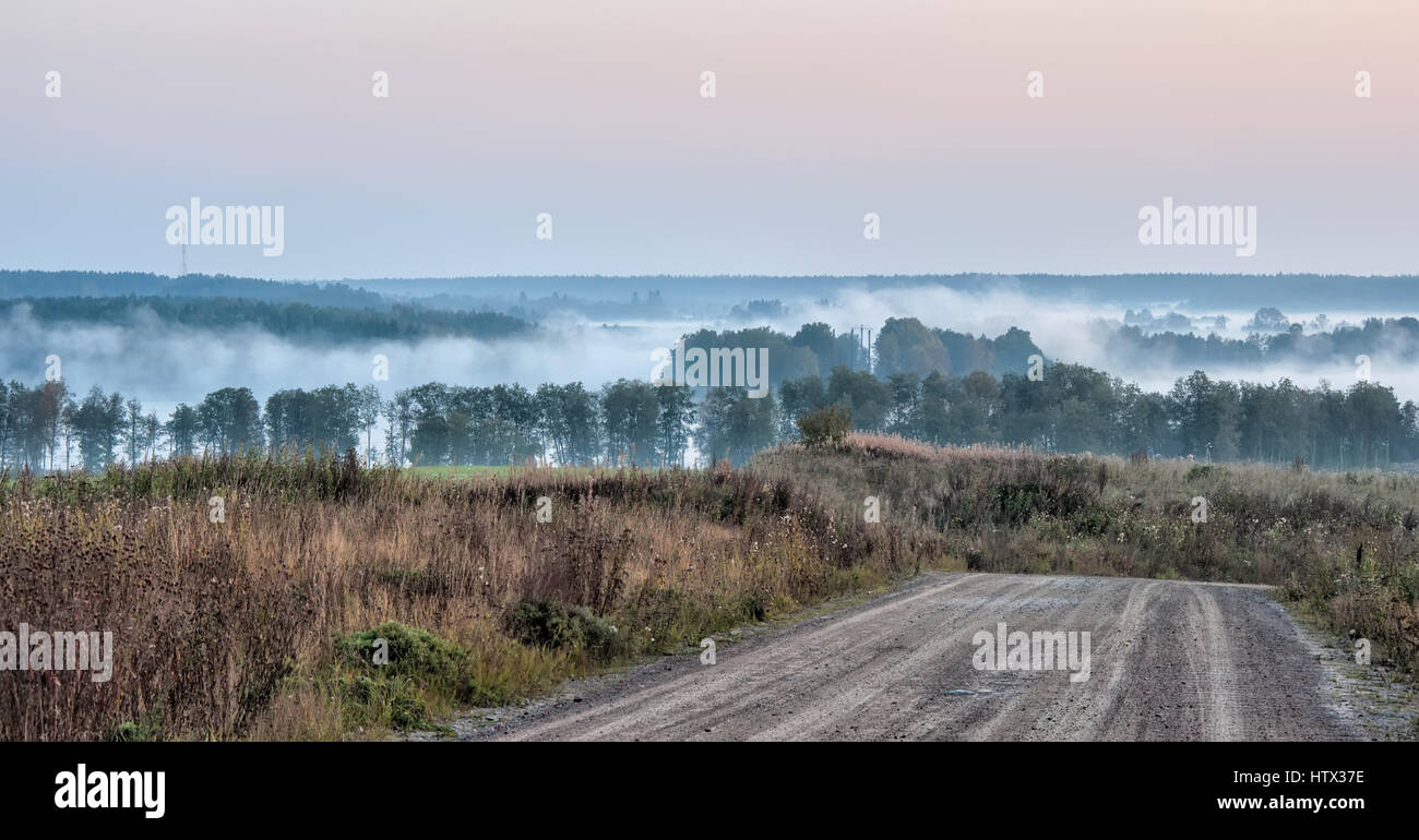 The road to the lake at dawn Stock Photo - Alamy