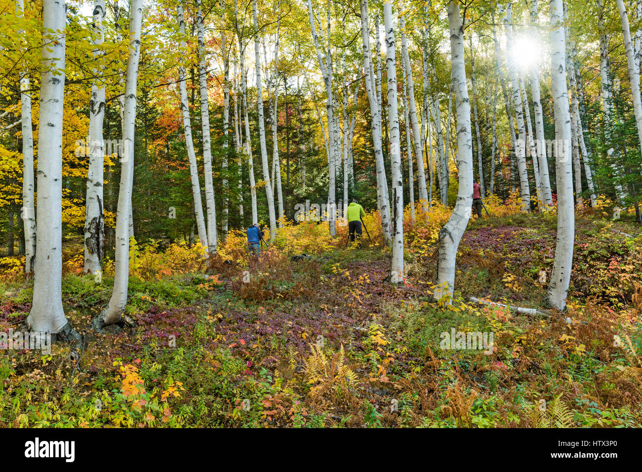 Photographers at work, Pinkham Notch, White Mountain National Forest ...