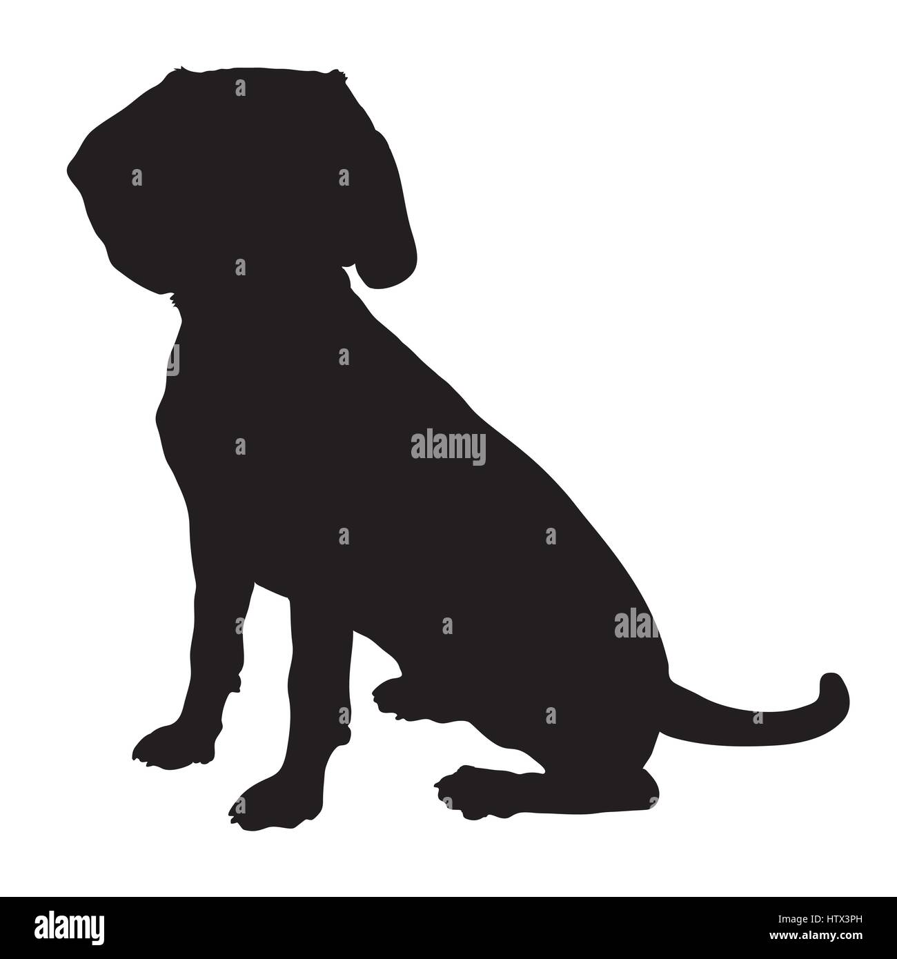 Dog Silhouette Beagle High Resolution Stock Photography and Images - Alamy