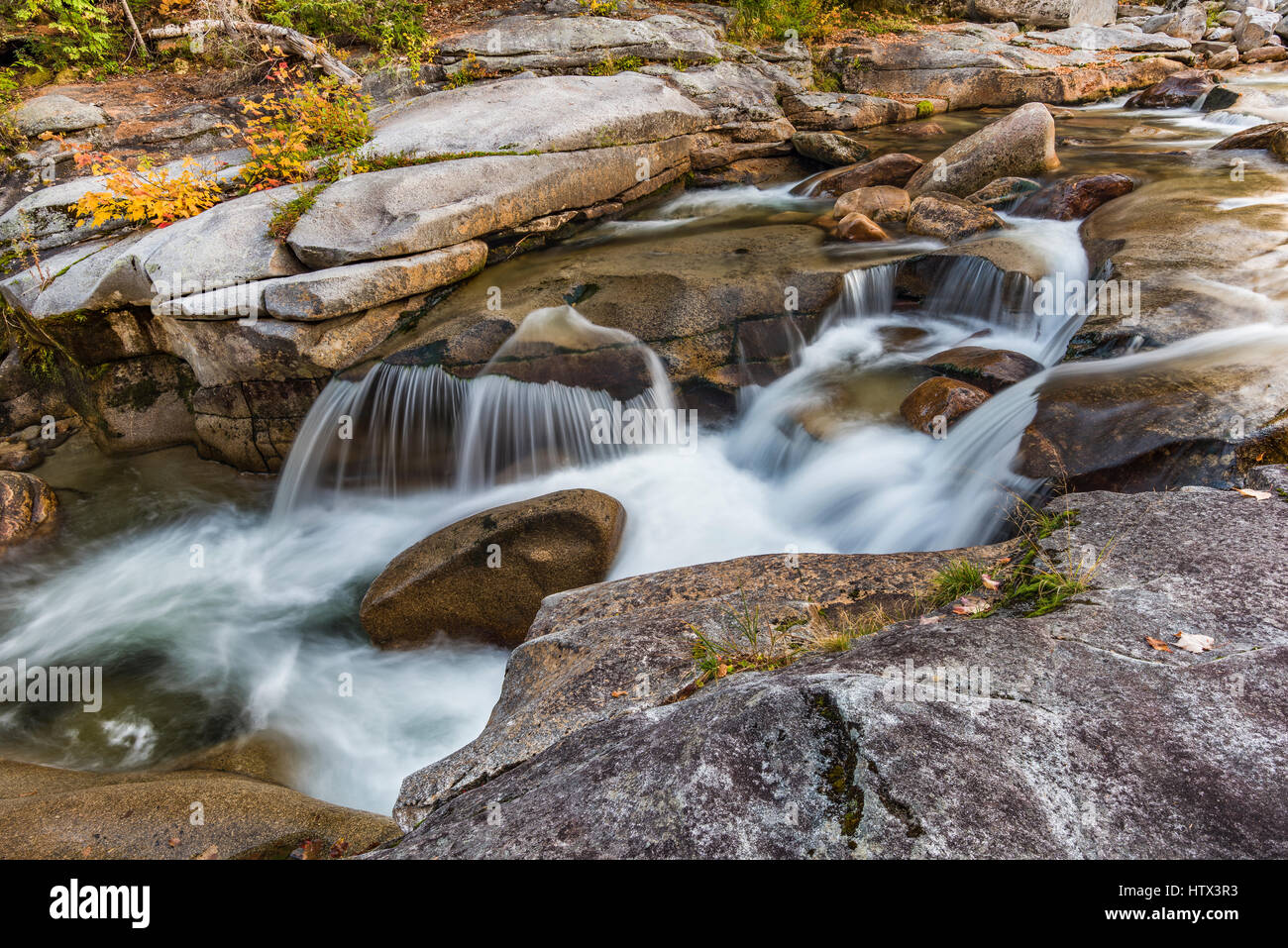 Falls on the Ammonoosuc River,White Mountain National Forest, Coos Co ...