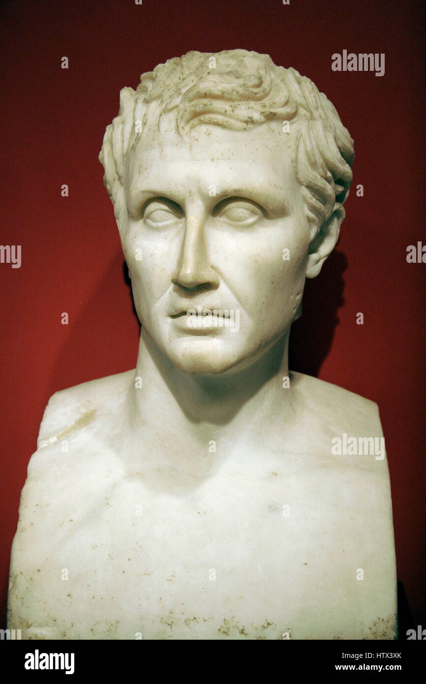 The bust of Menader at the Getty Villa museum in Malibu, CA on February ...