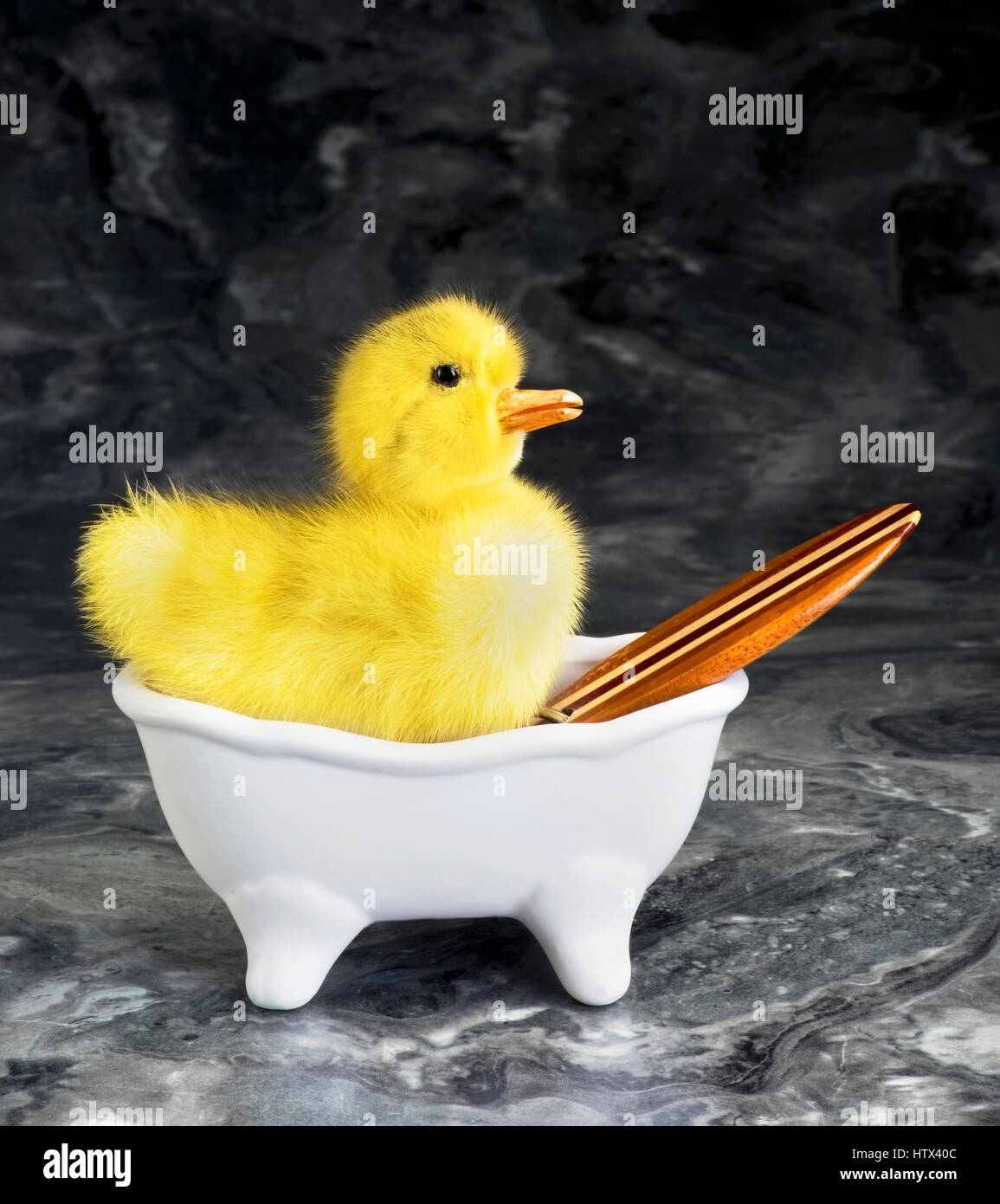 Cute baby ducky in bath tub with surfboard and room for your type Stock ...
