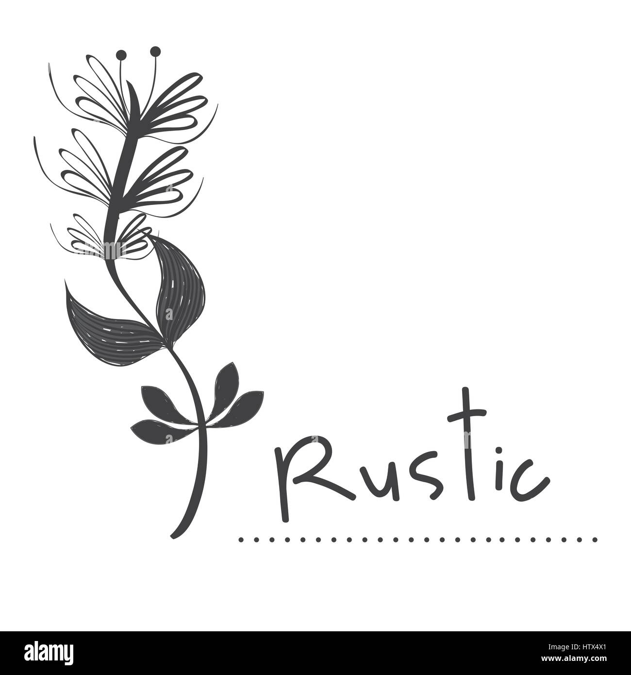 rustic flowers plants decoration design, vector illustration Stock ...
