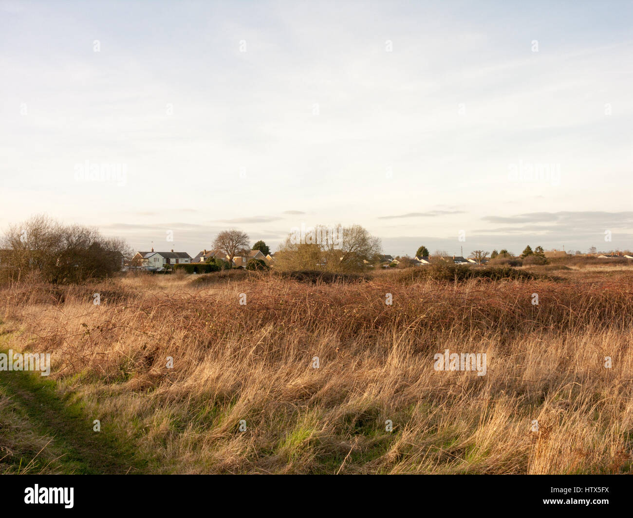 The beautiful backyard of Wivenhoe 's lakes Stock Photo - Alamy