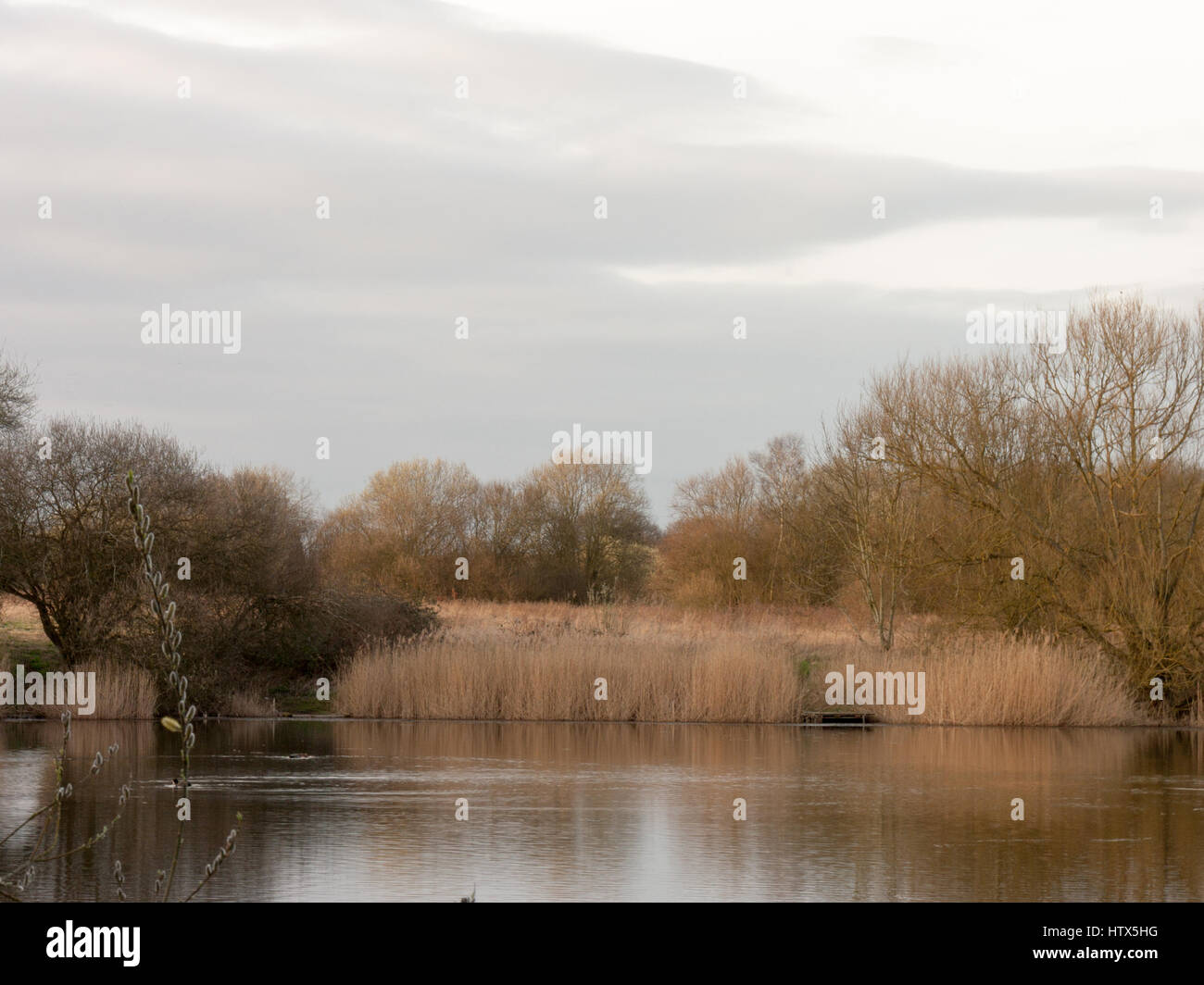 A gorgeous lake in Wivenhoe Stock Photo - Alamy