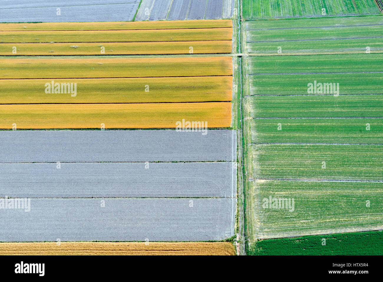 Parma countryside hi-res stock photography and images - Alamy