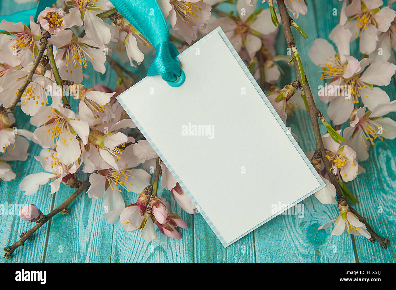 Spring background. Card for Mothers day, 8 March, Easter Stock Photo ...