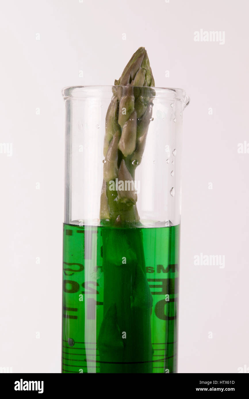 biochemistry of aspargus Stock Photo - Alamy