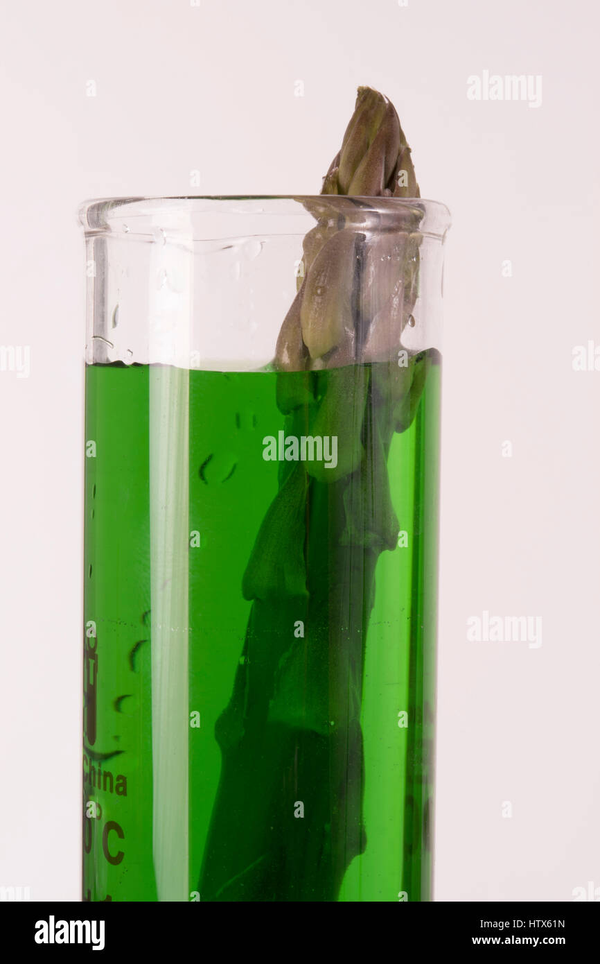 biochemistry of aspargus Stock Photo - Alamy