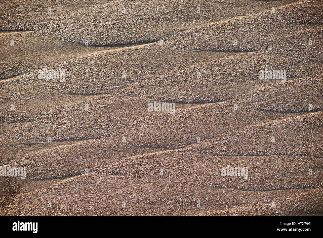 Close up sand grains beach hi-res stock photography and images - Alamy