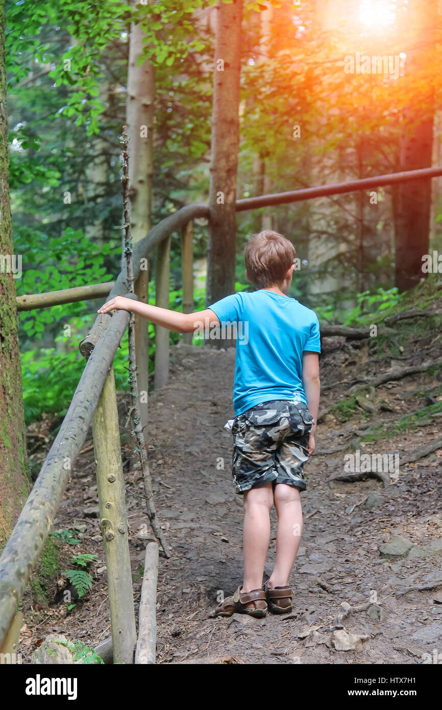 Boy stands among trees in forest park Stock Photo - Alamy