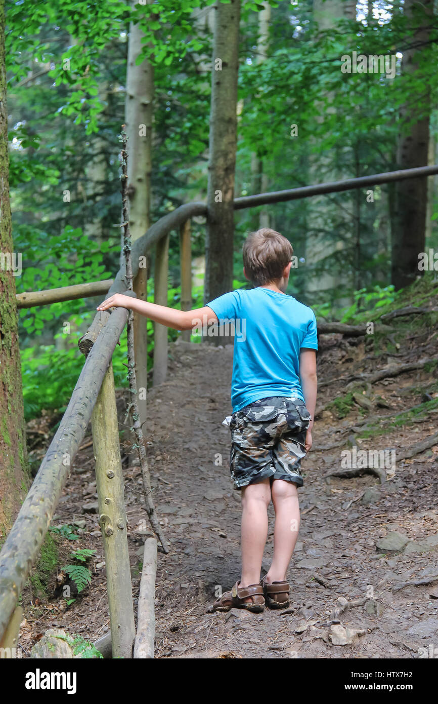 Boy stands among trees in forest park Stock Photo - Alamy