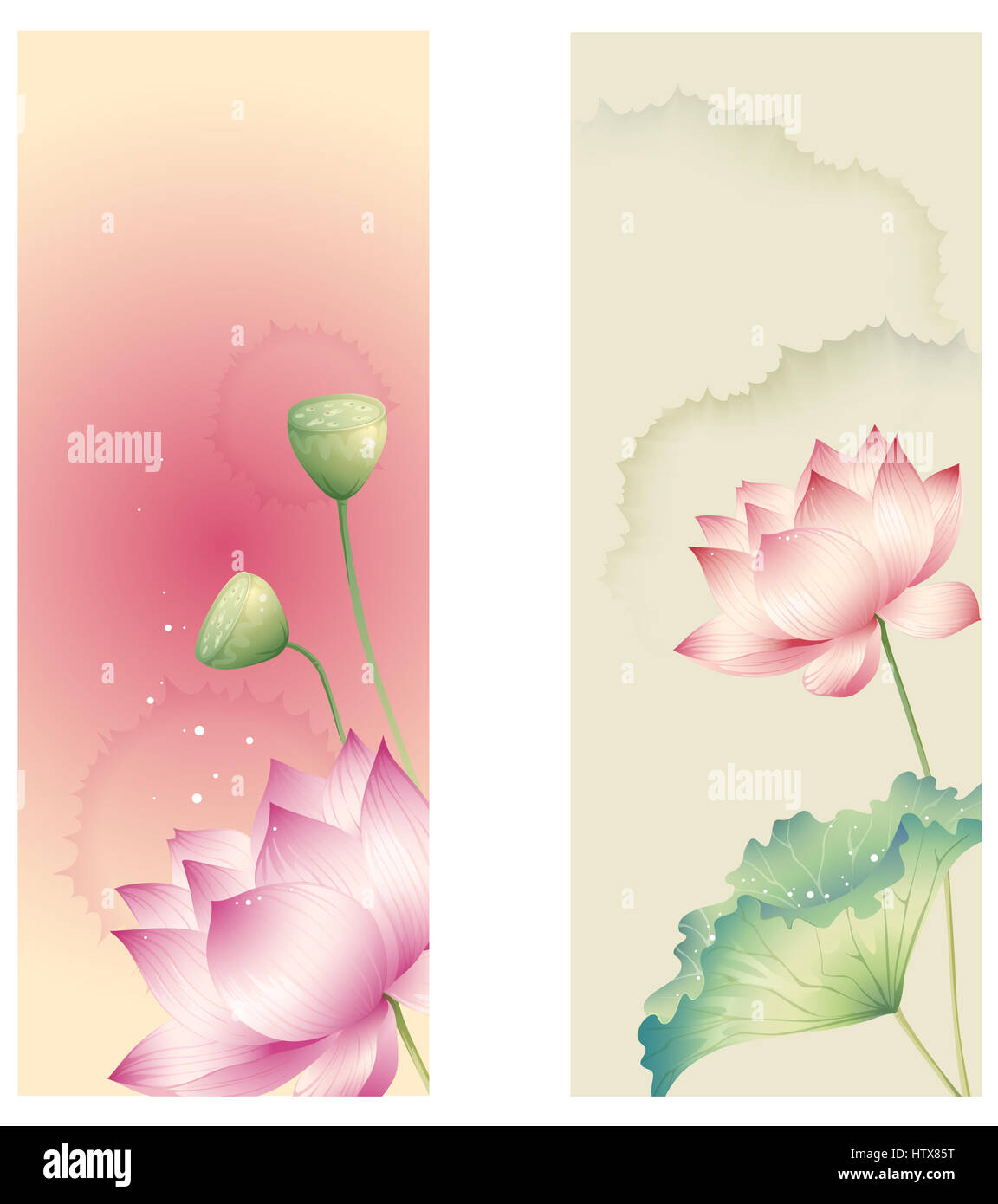 Romantic Language of Flowers 2 Stock Photo - Alamy