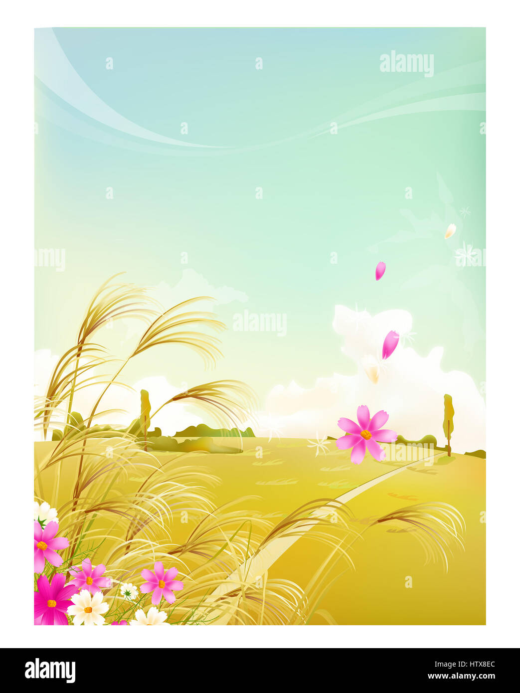 Romantic Language of Flowers 3 Stock Photo - Alamy