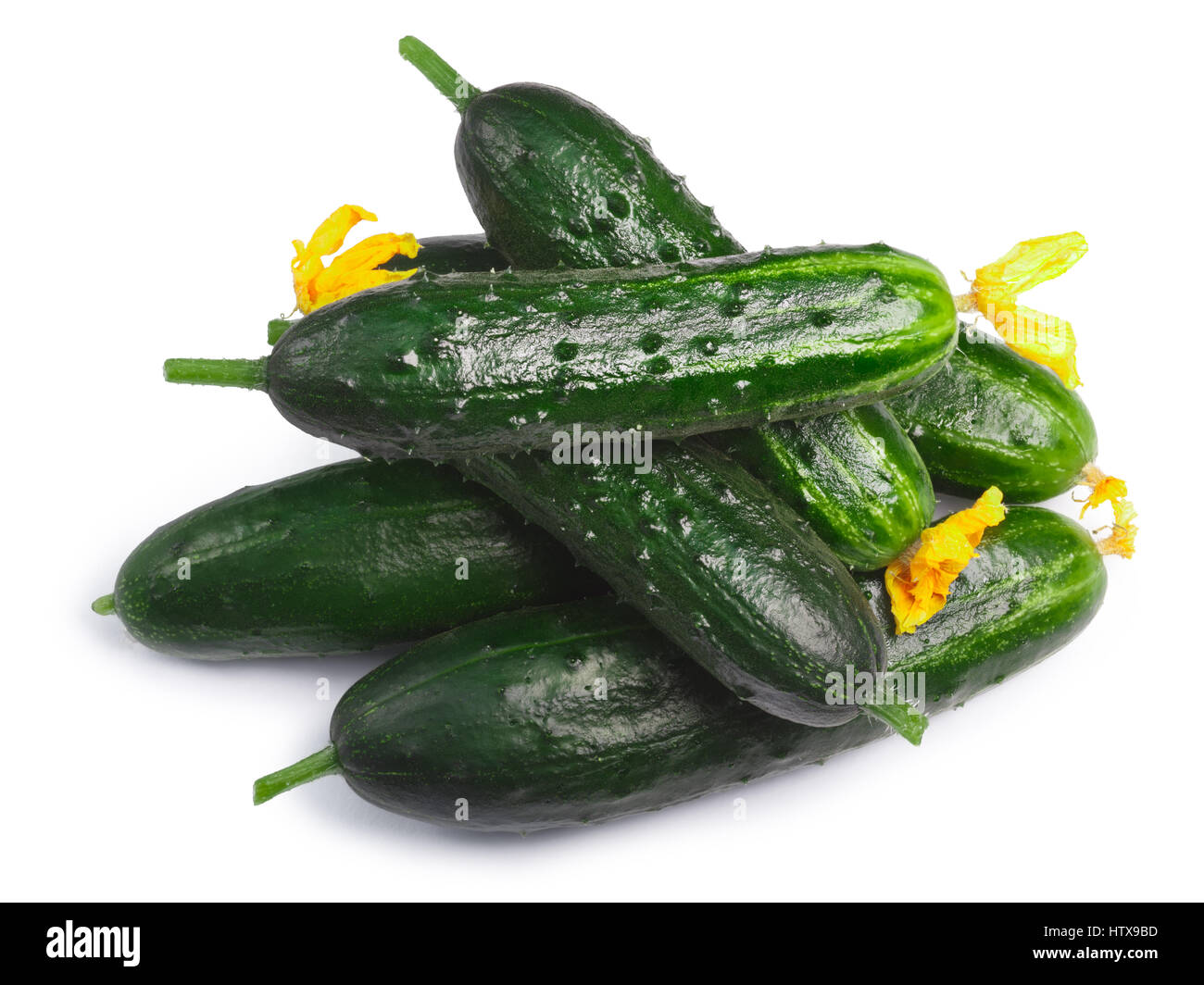Cucumbers top view Cut Out Stock Images & Pictures - Alamy
