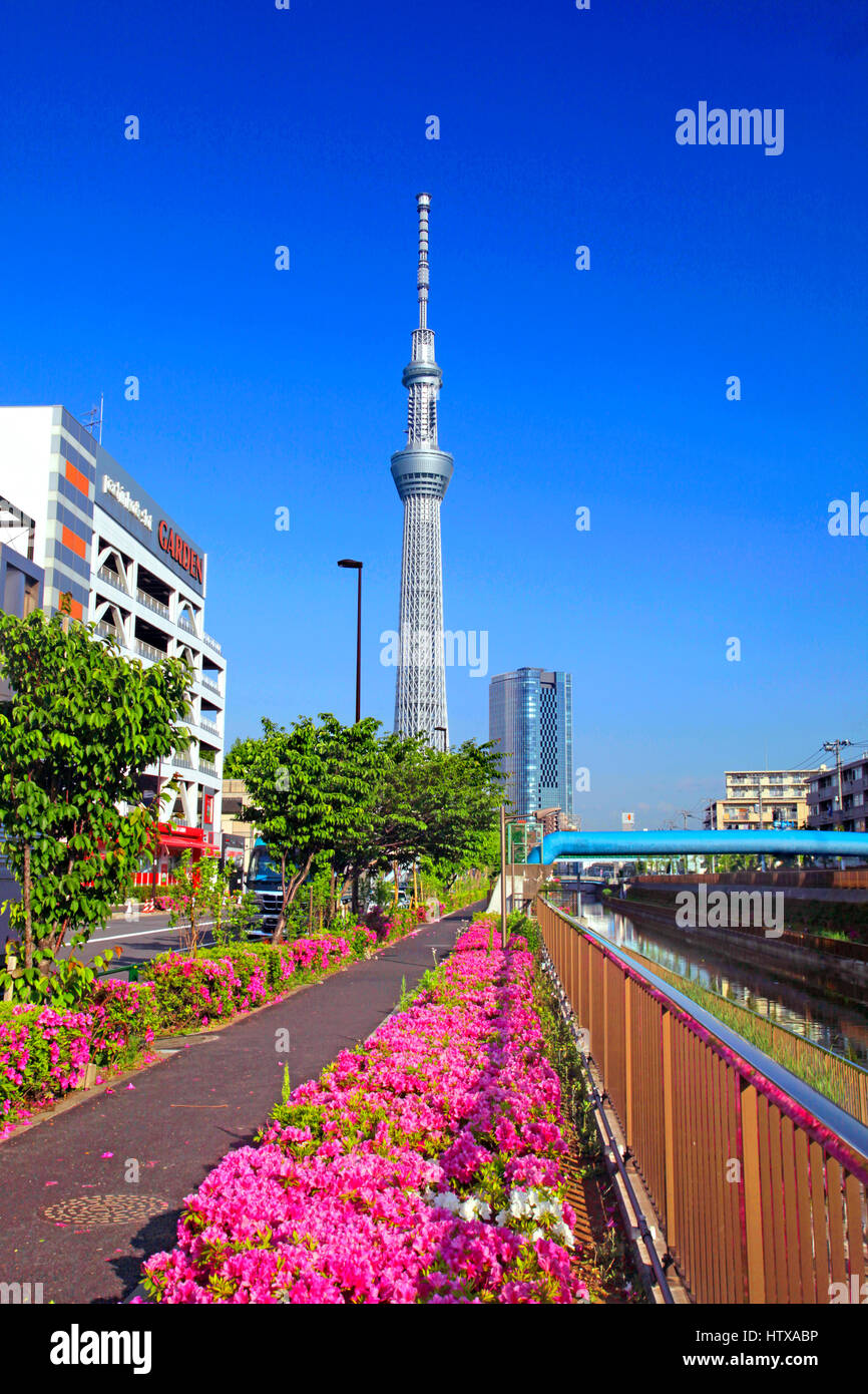 Tokyo Skytree View from Kitajikkengawa River Tokyo Japan Stock Photo ...