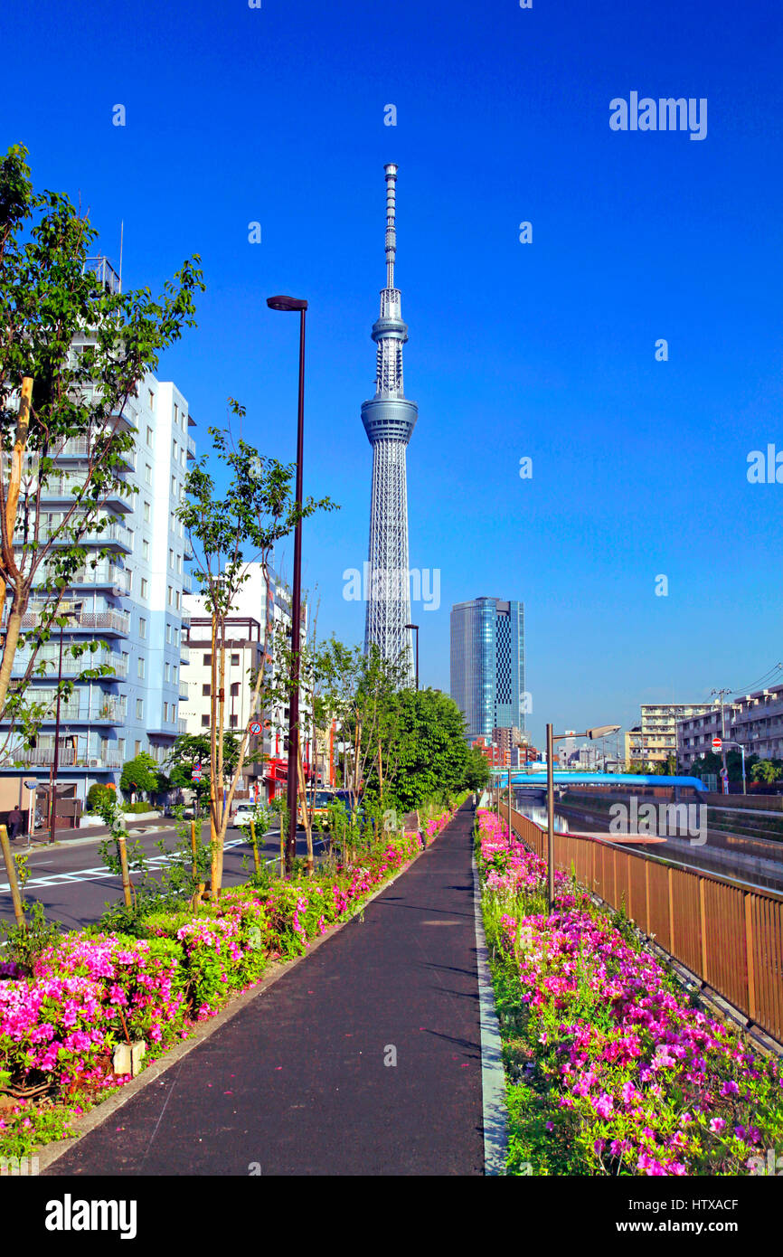 Tokyo Skytree View from Kitajikkengawa River Tokyo Japan Stock Photo ...