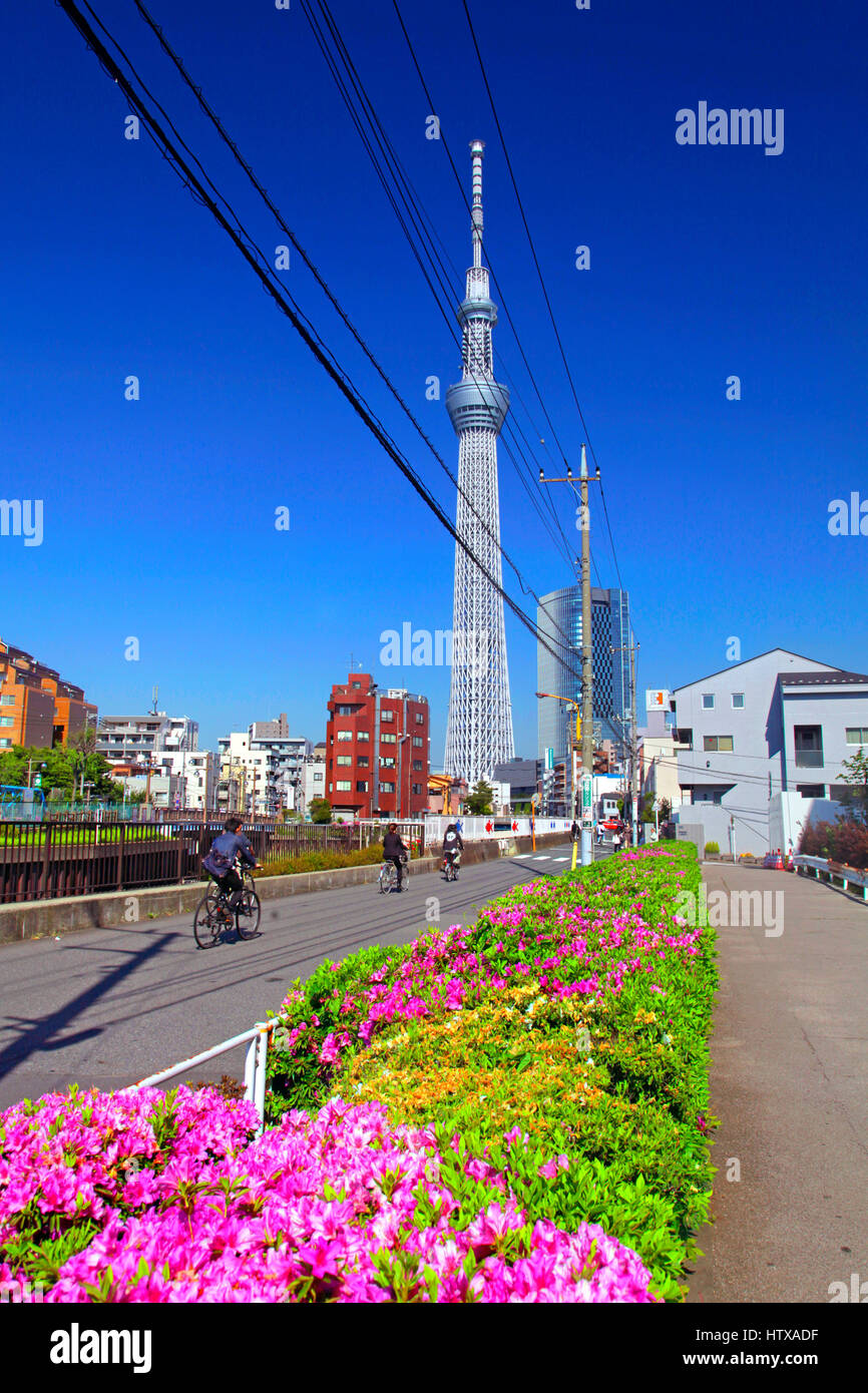 Tokyo Skytree View from Kitajikkengawa River Tokyo Japan Stock Photo ...