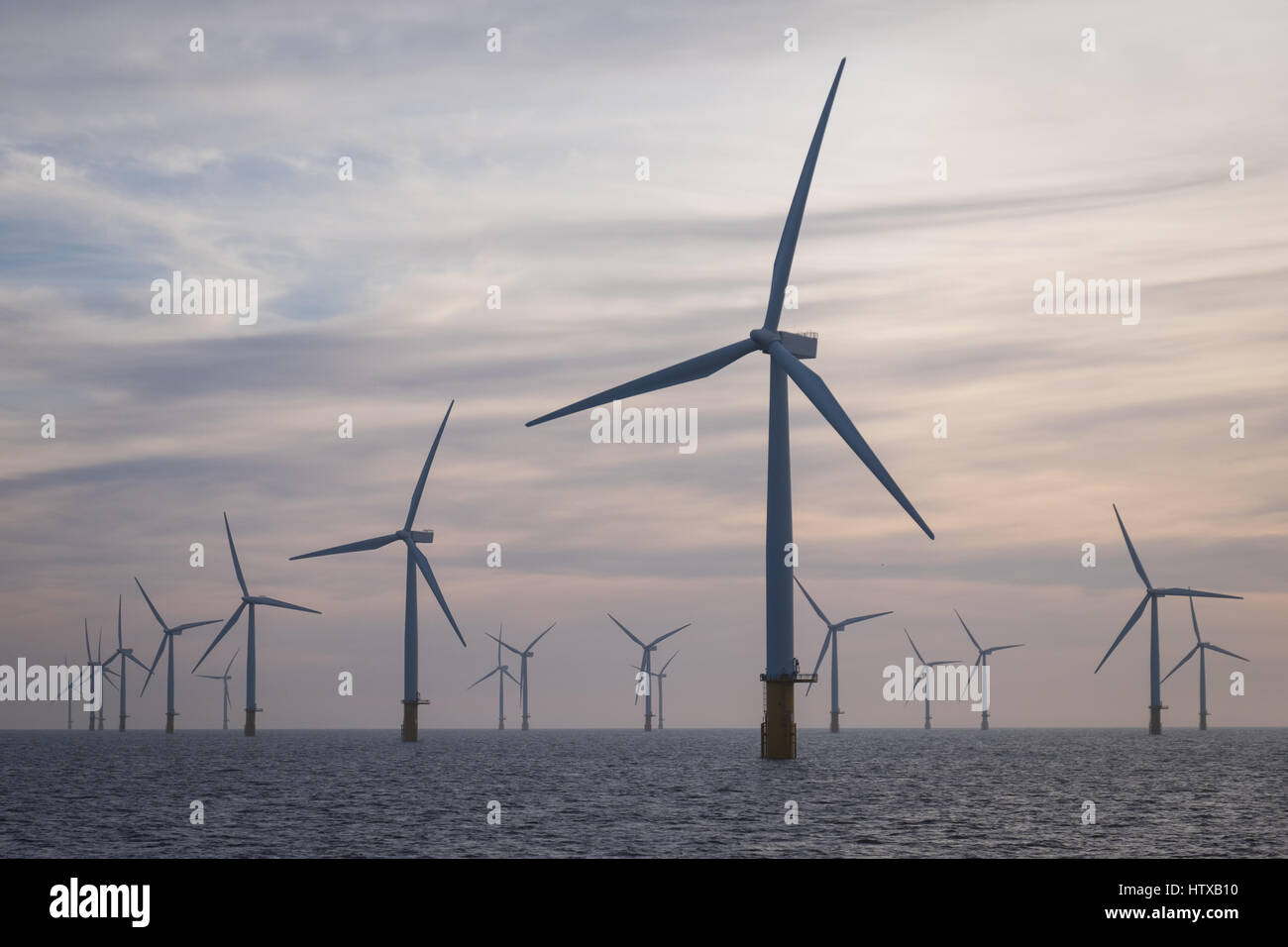 Turbines on the Lincs Offshore Wind Farm, off the coast of Skegness ...