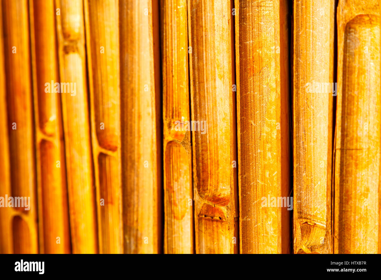 thailand abstract cross bamboo in the temple kho phangan bay asia and ...