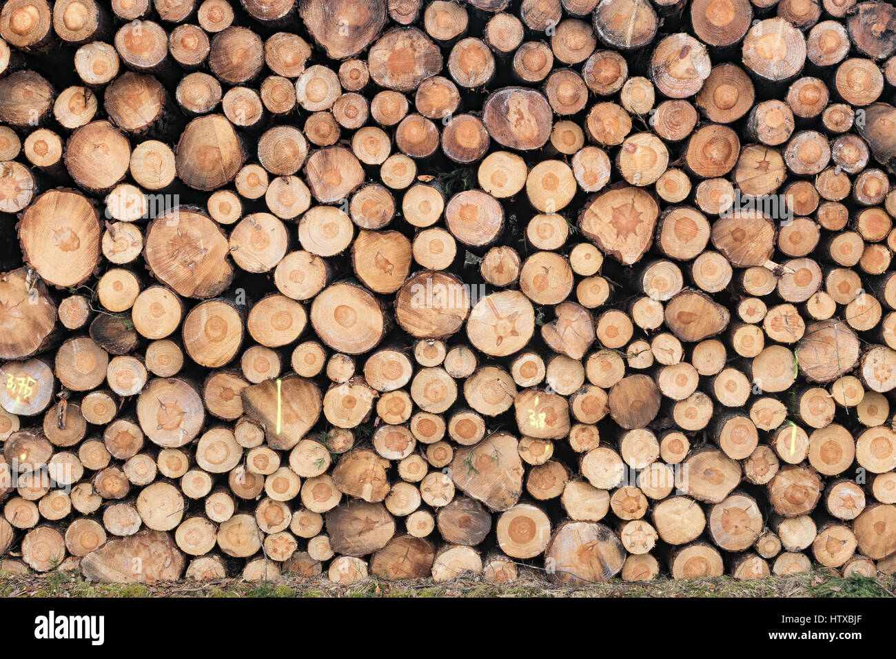 Photo of a stack of natural wooden logs Stock Photo - Alamy