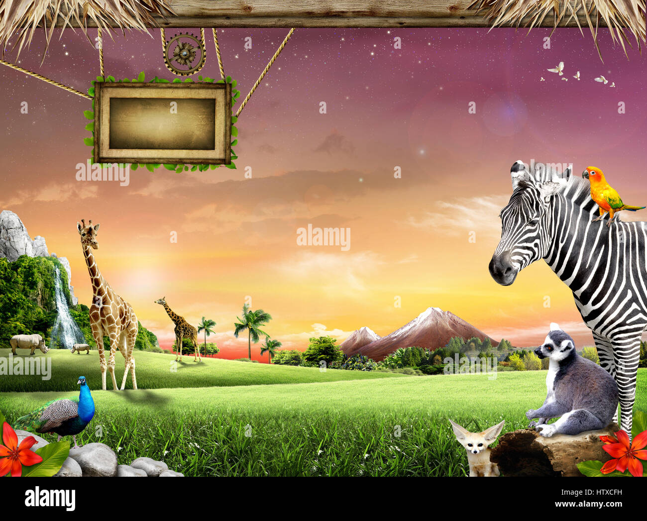 Zebra parrot hi-res stock photography and images - Alamy