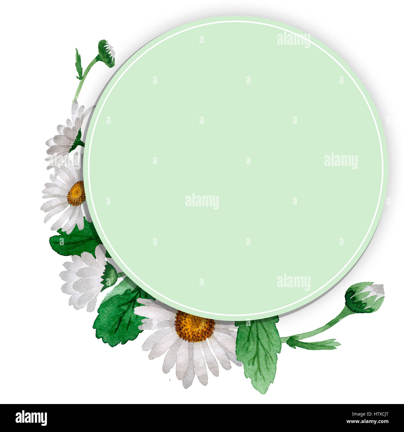Wildflower chamomile flower frame in a watercolor style isolated Stock ...