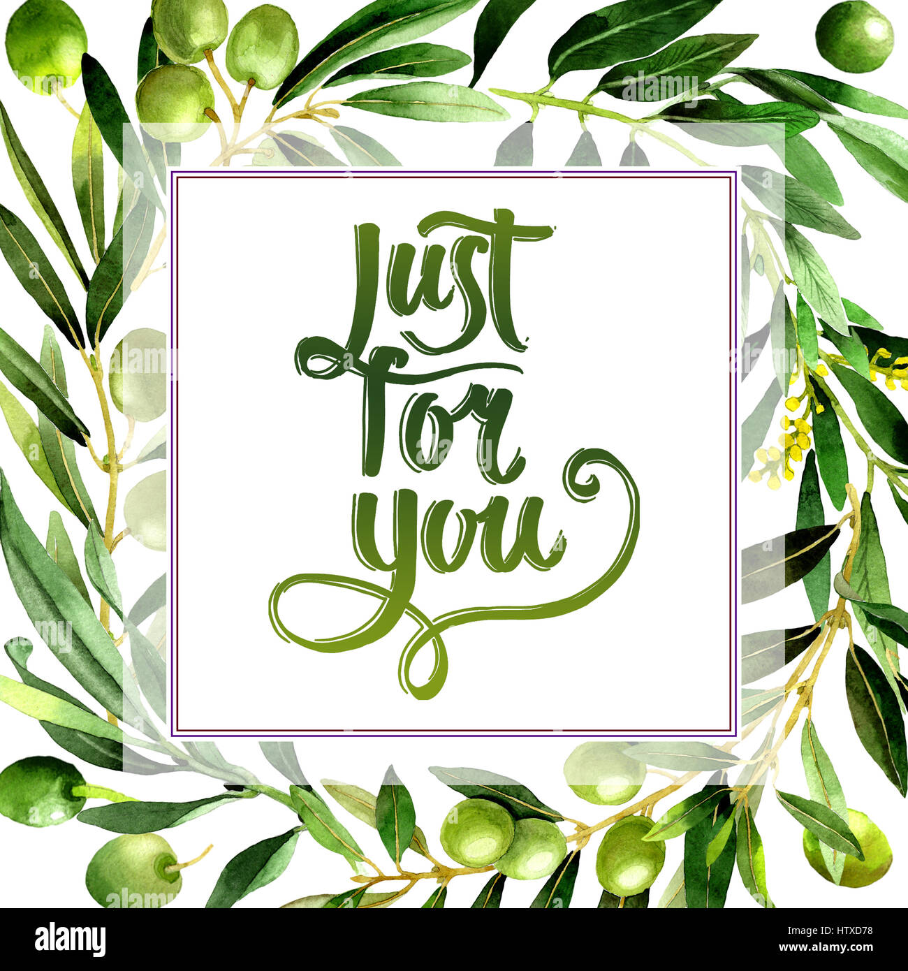 Olive tree frame in a watercolor style isolated Stock Photo - Alamy